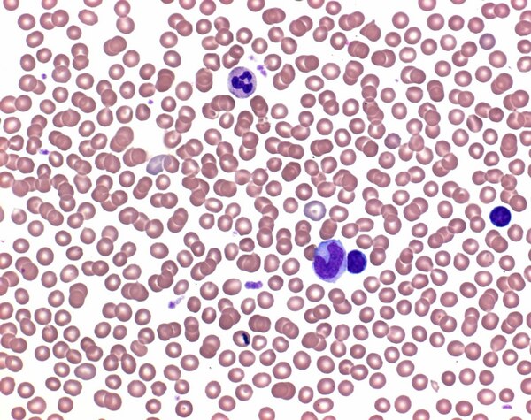 Buffer tablets pH 6.8 | 111374